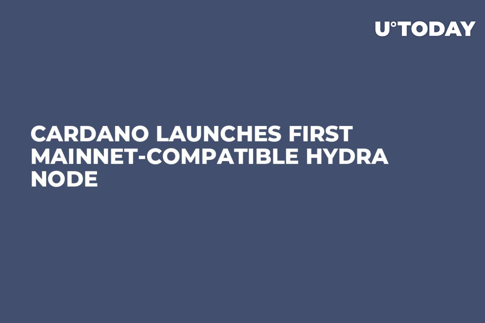 Cardano Launches First Mainnet-Compatible Hydra Node - U.Today