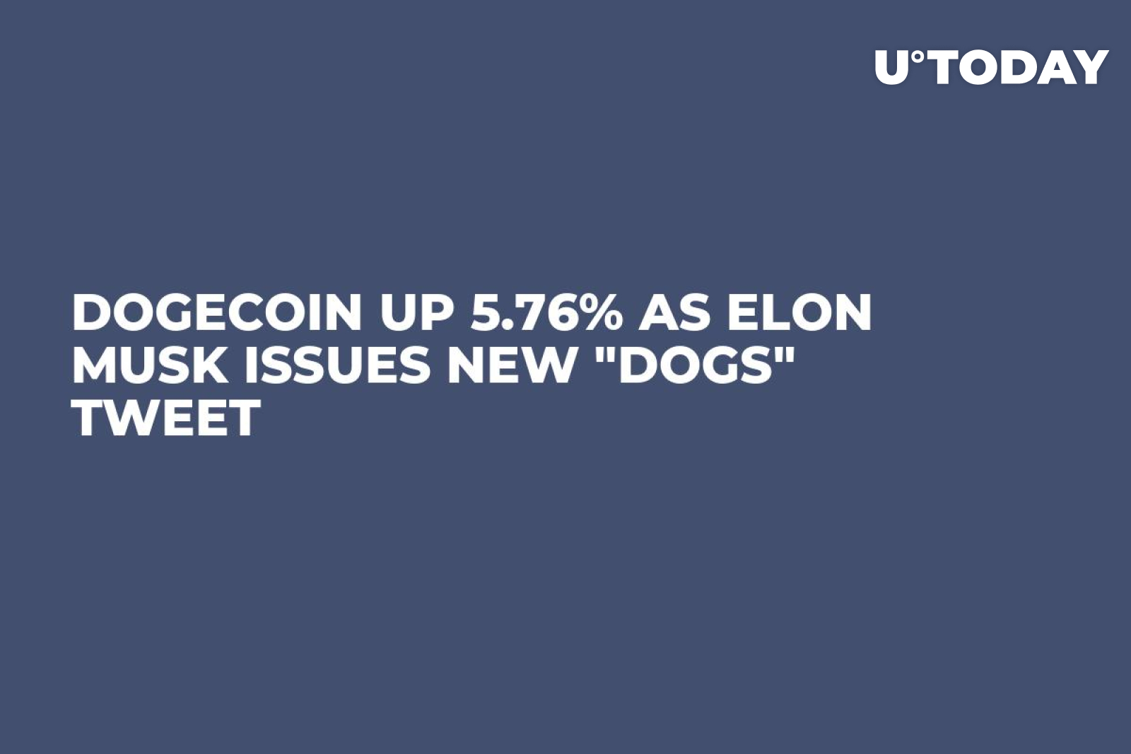 Dogecoin Up 5.76% as Elon Musk Issues New "Dogs" Tweet - U.Today