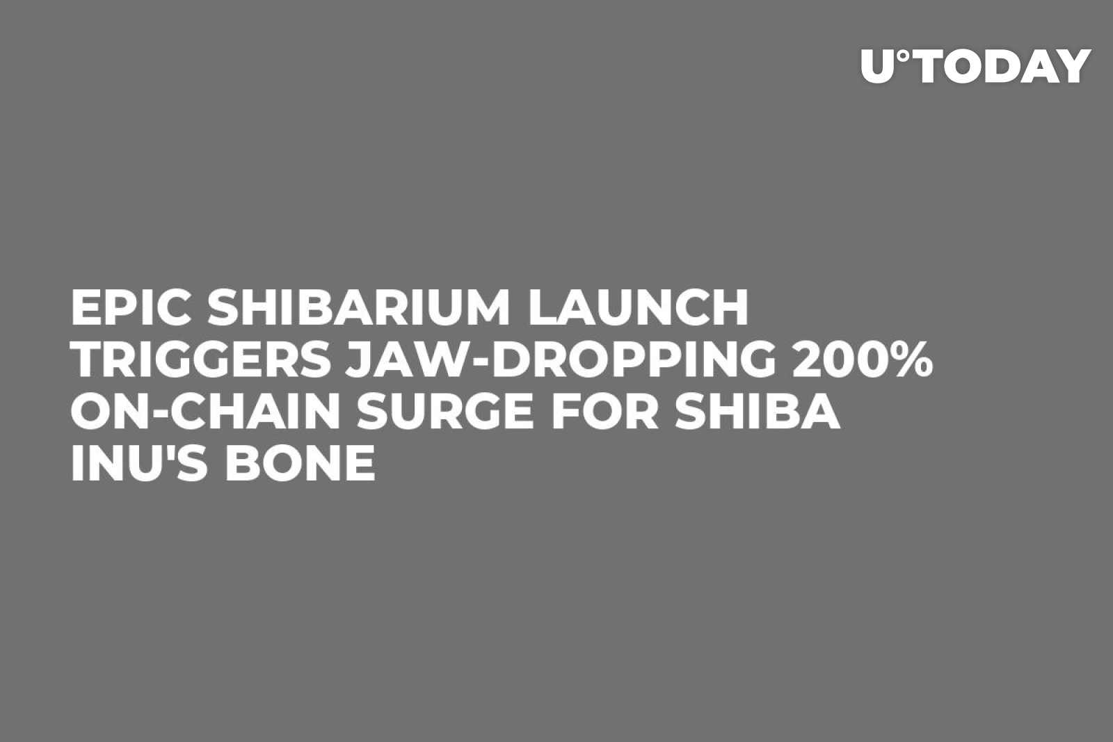Epic Shibarium Launch Triggers Jaw-Dropping 200% On-Chain Surge for ...
