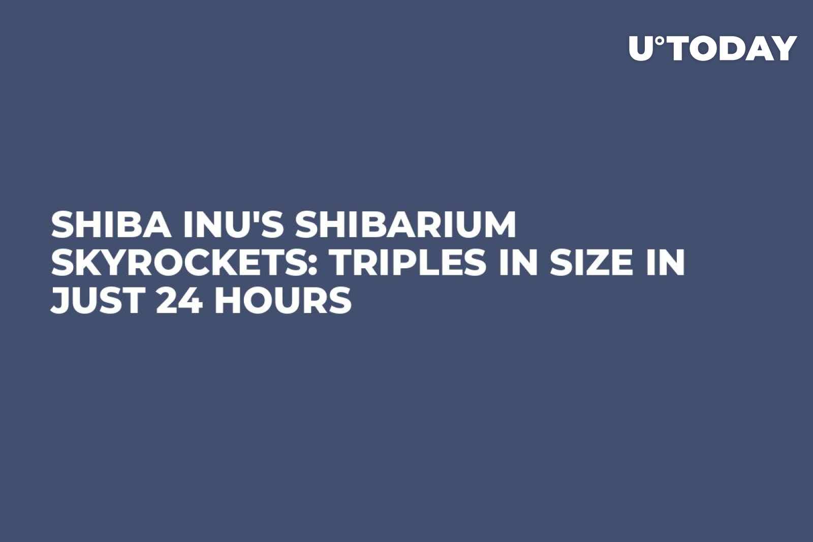 Shiba Inu's Shibarium Skyrockets: Triples in Size in Just 24 Hours - U ...