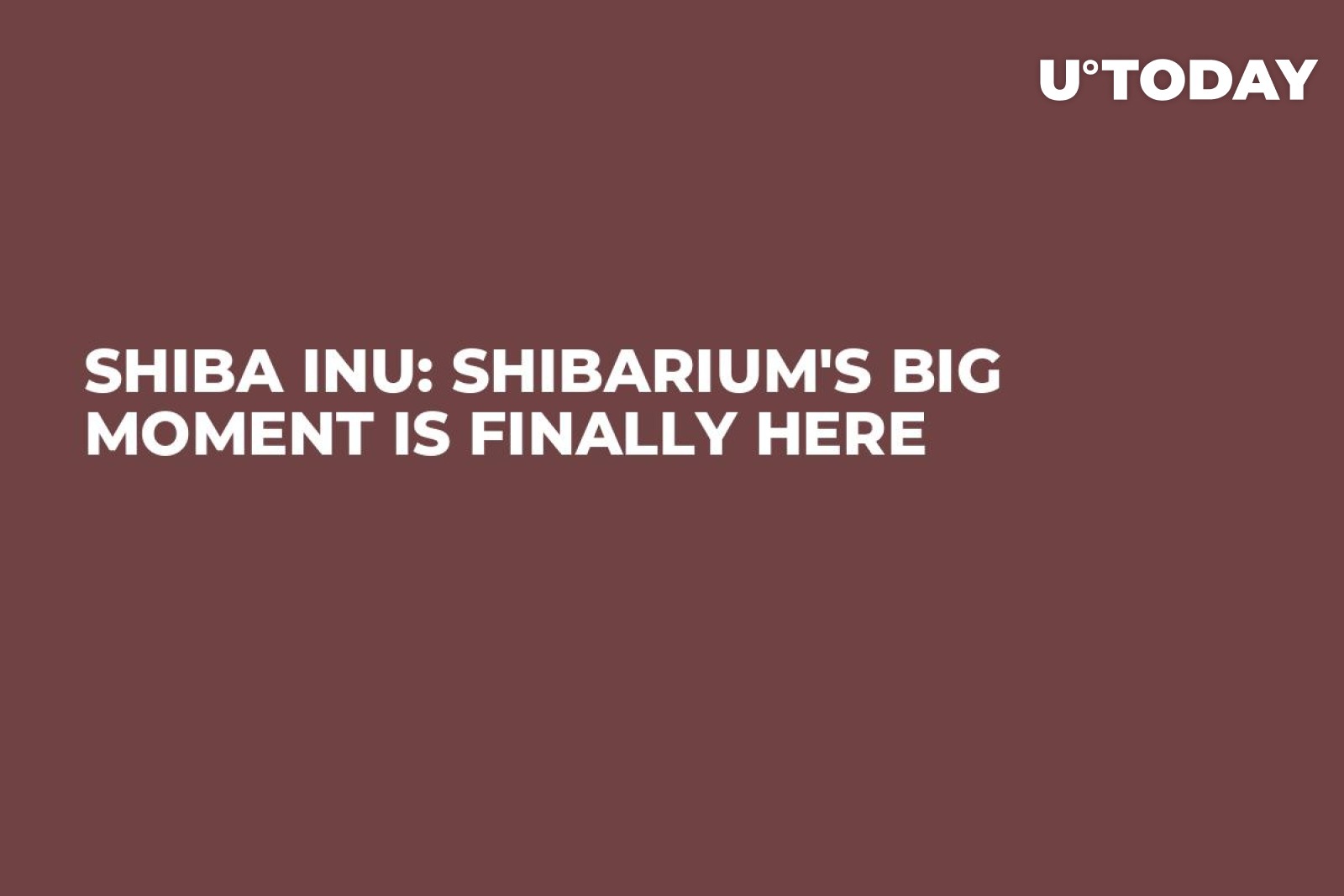 Shiba Inu: Shibarium's Big Moment Is Finally Here - U.Today