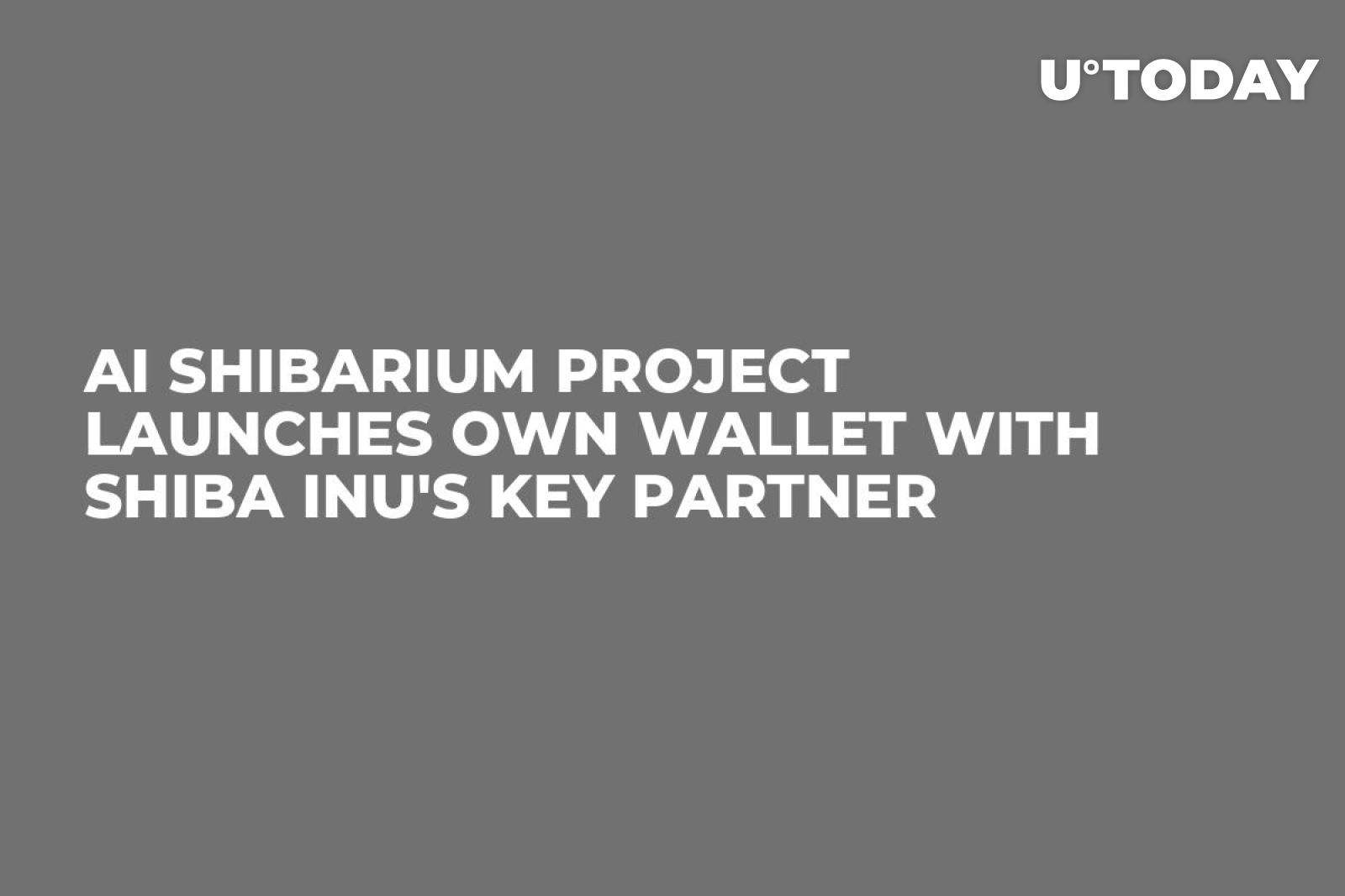 AI Shibarium Project Launches Own Wallet With Shiba Inu's Key Partner ...