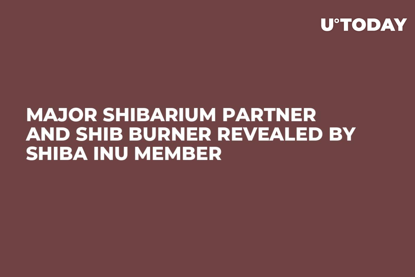 Major Shibarium Partner and SHIB Burner Revealed by Shiba Inu Member ...