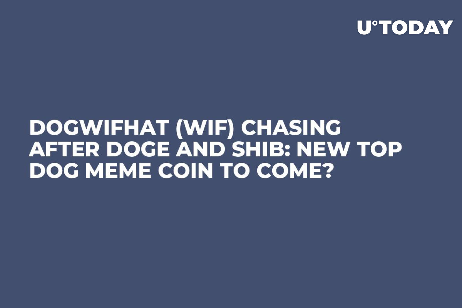Dogwifhat (WIF) Chasing After DOGE and SHIB: New Top Dog Meme Coin to ...