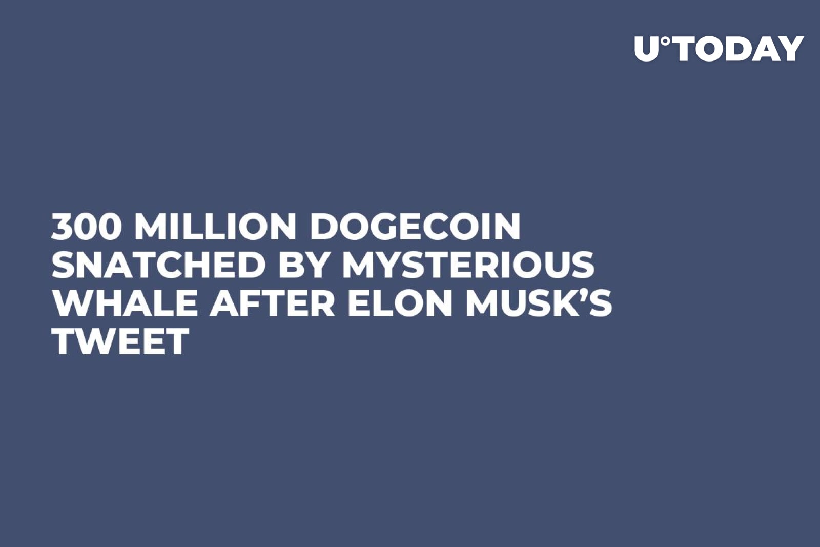 300 Million Dogecoin Snatched by Mysterious Whale After Elon Musk’s ...