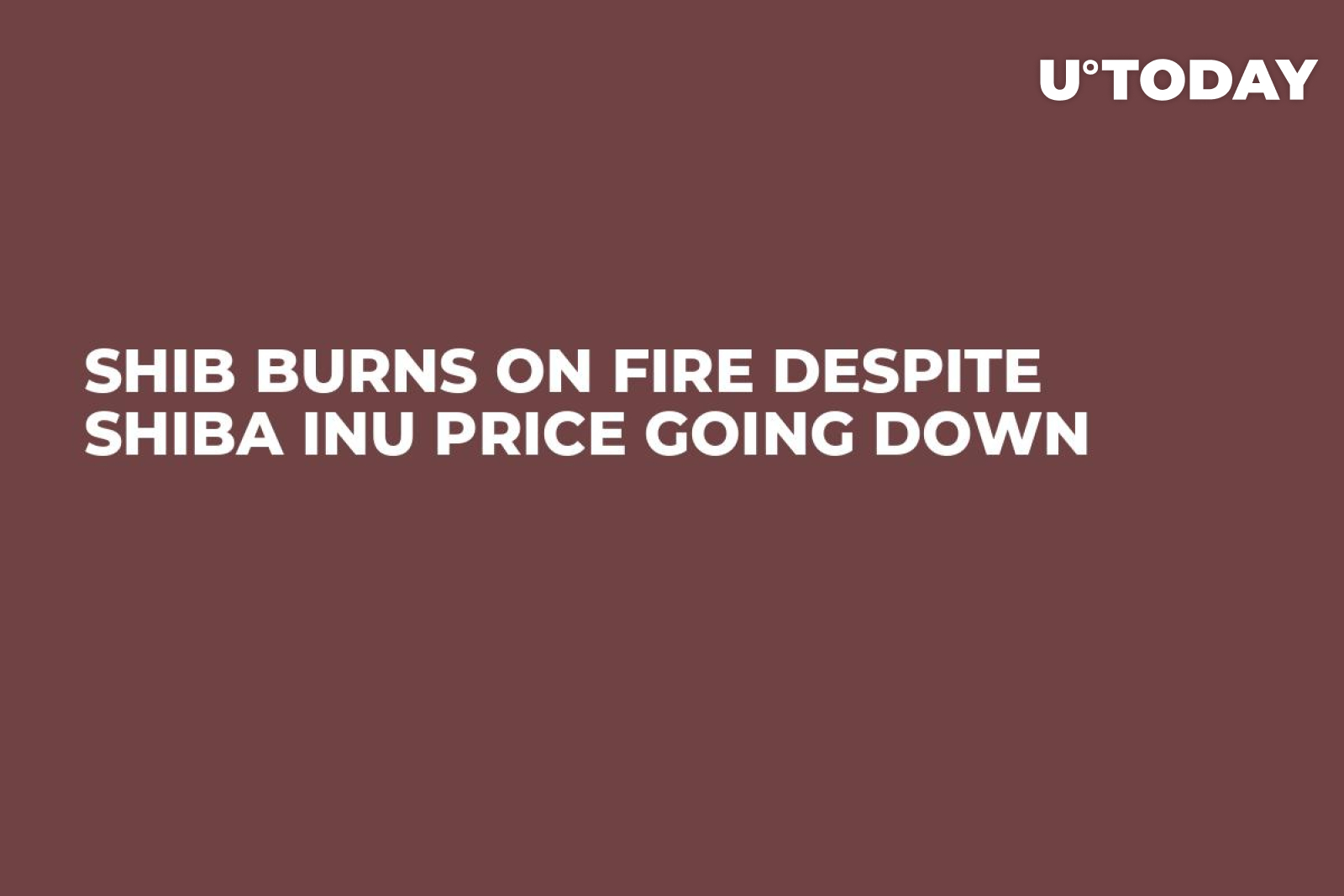 SHIB Burns On Fire Despite Shiba Inu Price Going Down - U.Today