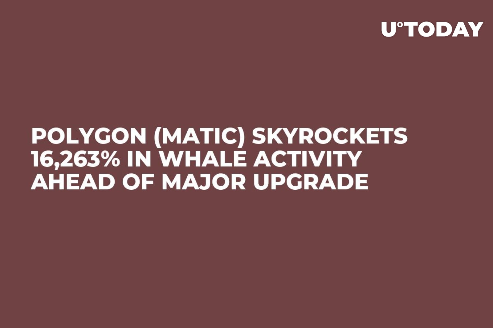 Polygon (MATIC) Skyrockets 16,263% in Whale Activity Ahead of Major ...