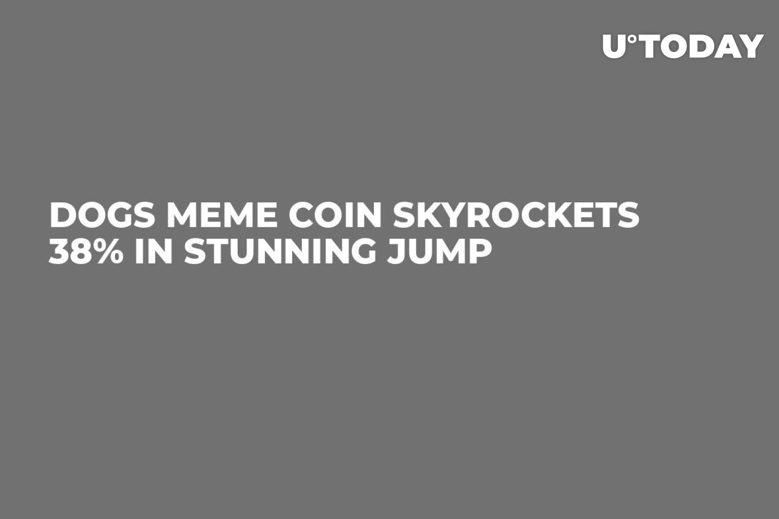DOGS Meme Coin Skyrockets 38% in Stunning Jump - U.Today