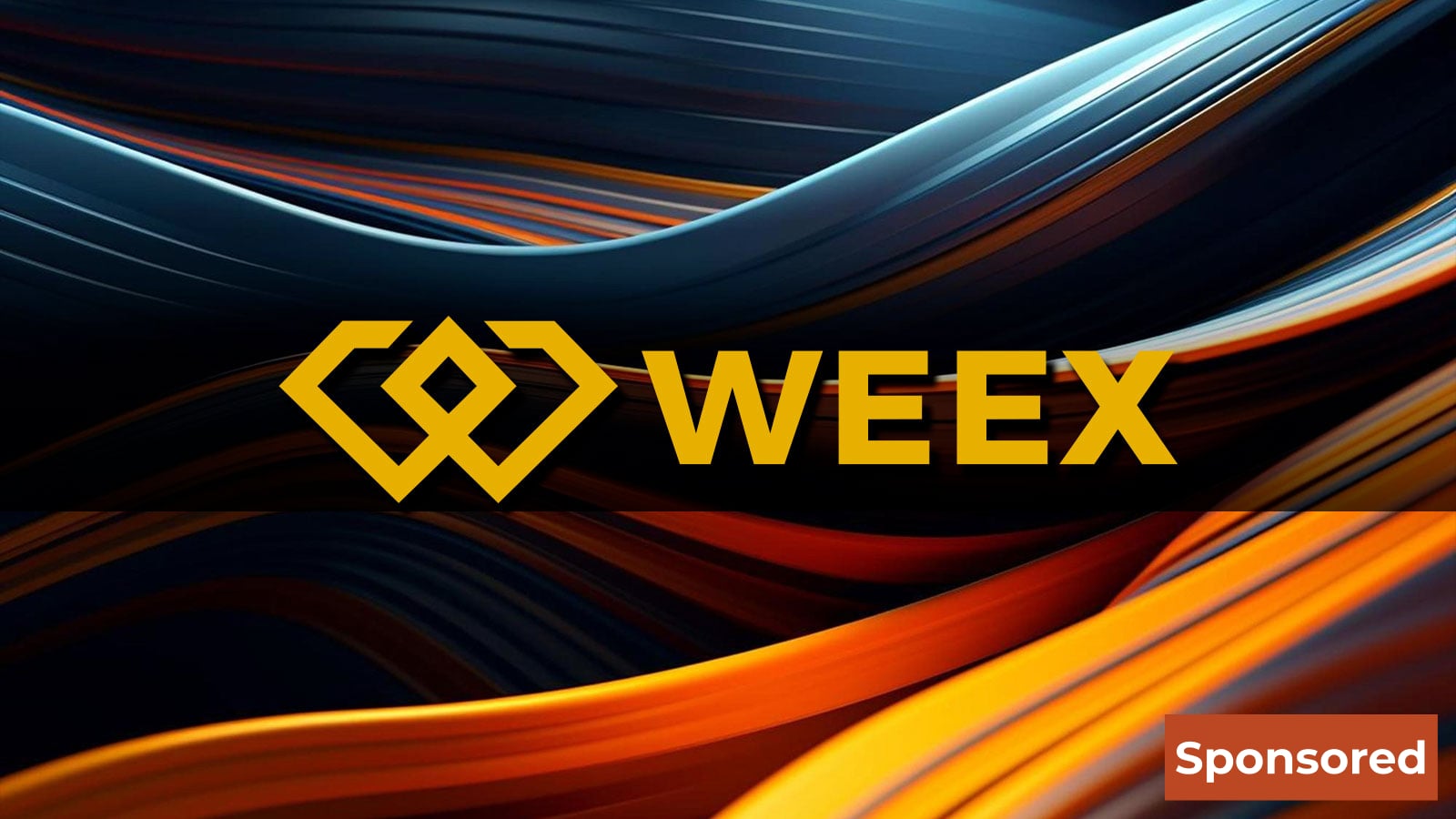 Exclusive Interview with WEEX Vice President: Seeing the Future of ...