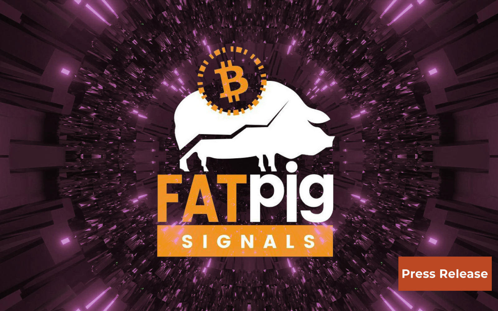 Fat Pig Signals Informs Its Members About Latest Changes on Crypto Market