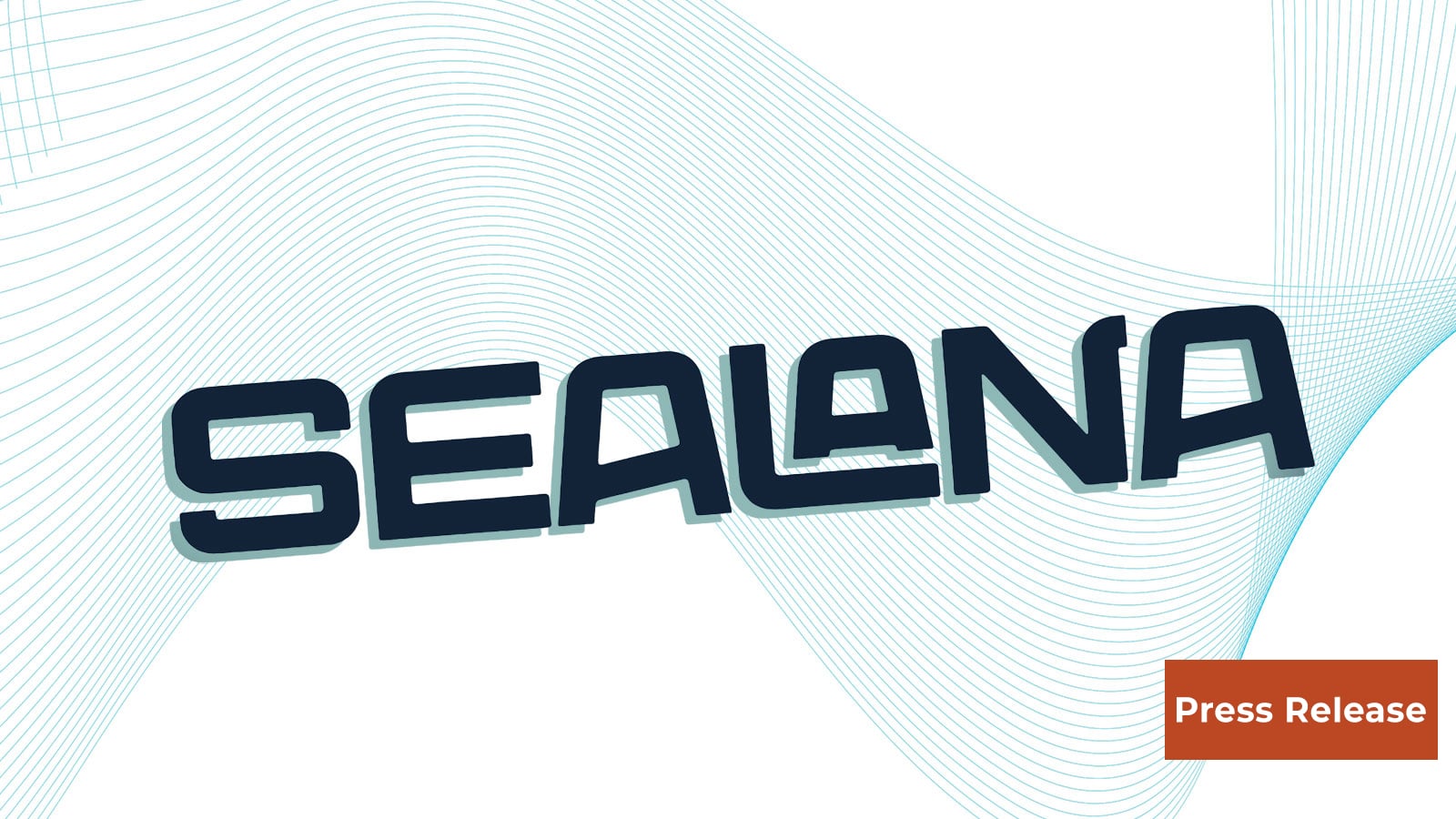 Sealana: Can the Chubby Seal Move From Mom’s Basement to Top Meme Coin Rankings? | U.Today