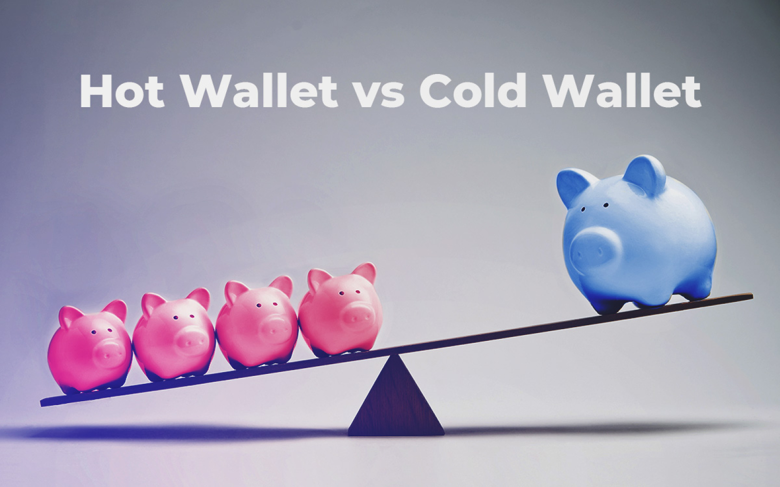 Hot Wallet vs. Cold Wallet: What the Different Storage Methods Do - U.Today