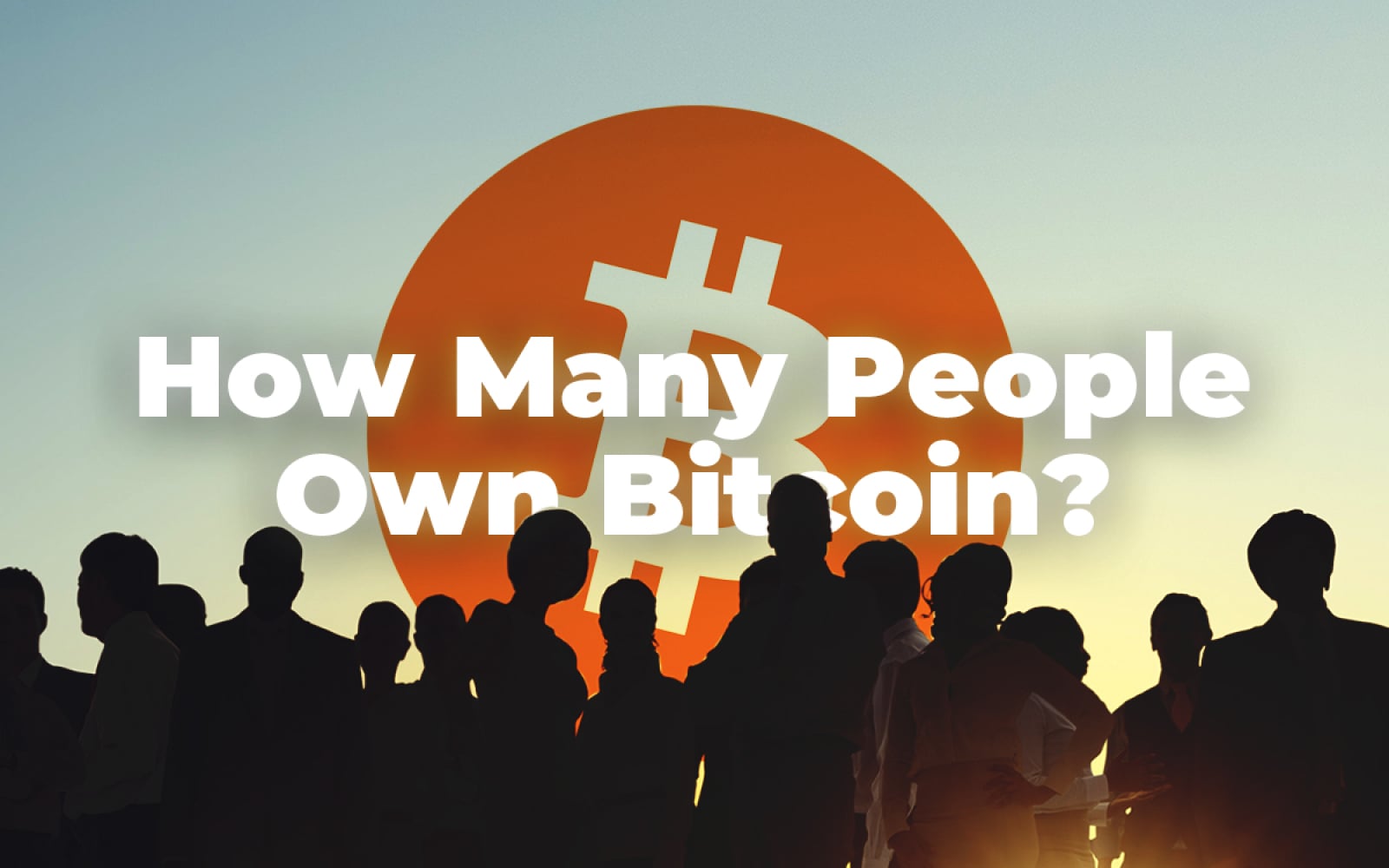 How Many People Own Bitcoin and How They Use BTC? - U.Today