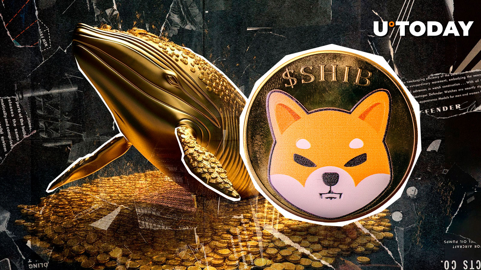Shiba Inu Whale Moves Explode 258%, Sparking Market Frenzy - U.Today