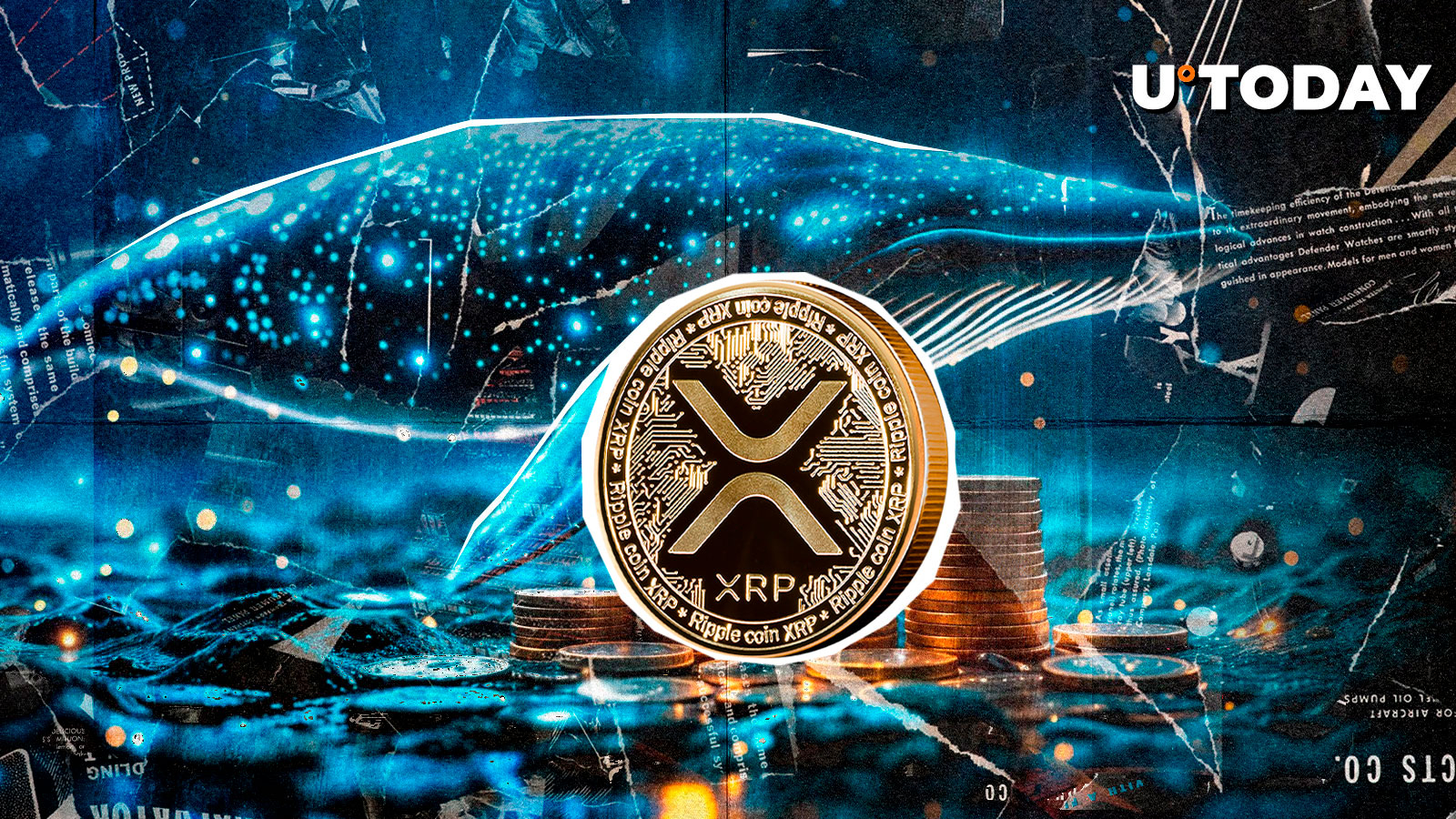 XRP Whales Go on 150 Million Accumulation Spree in 24 Hours, What's Next? - U.Today