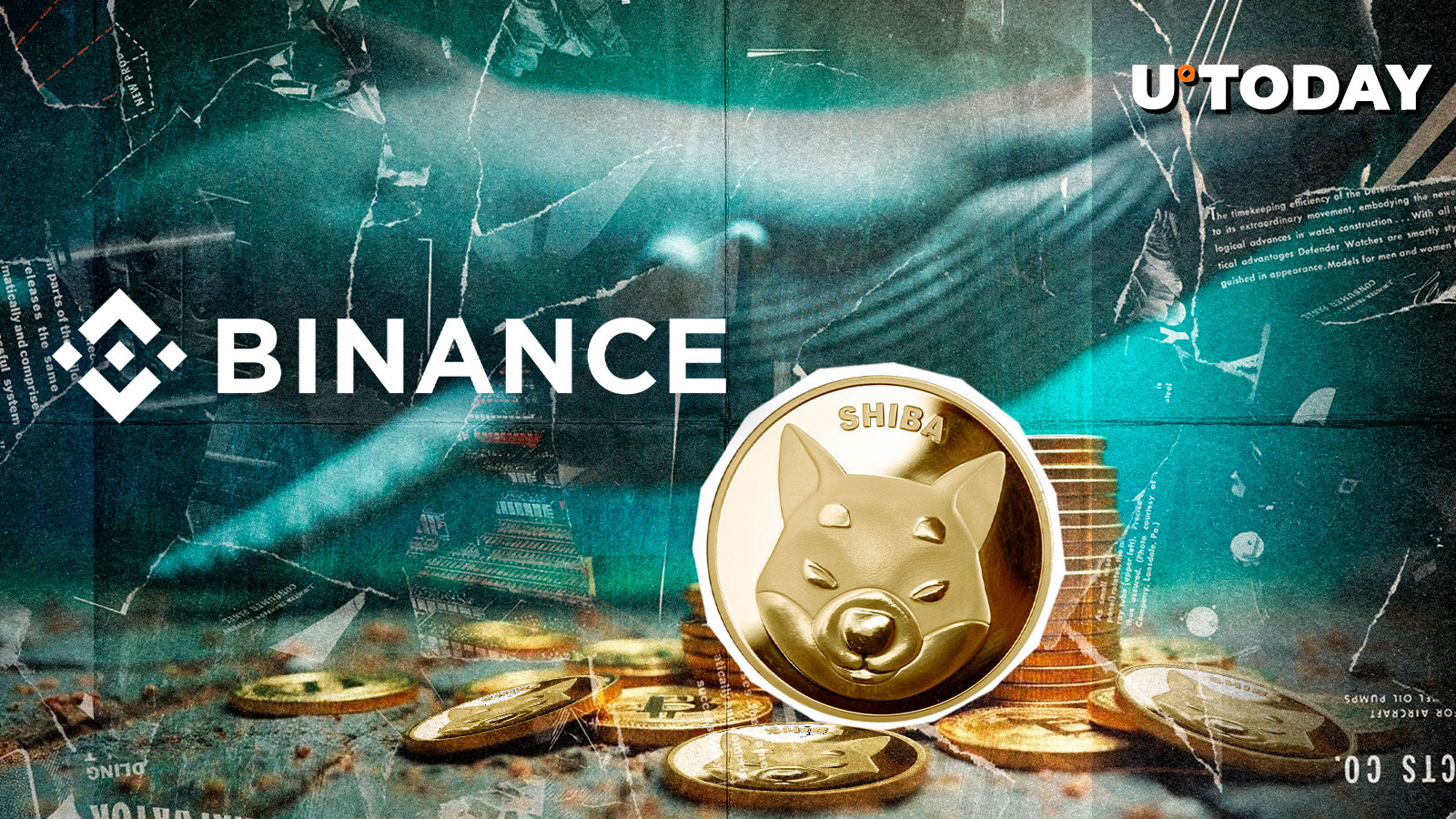 Enormous Shiba Inu Whale Hits Binance With 100 Billion SHIB - U.Today