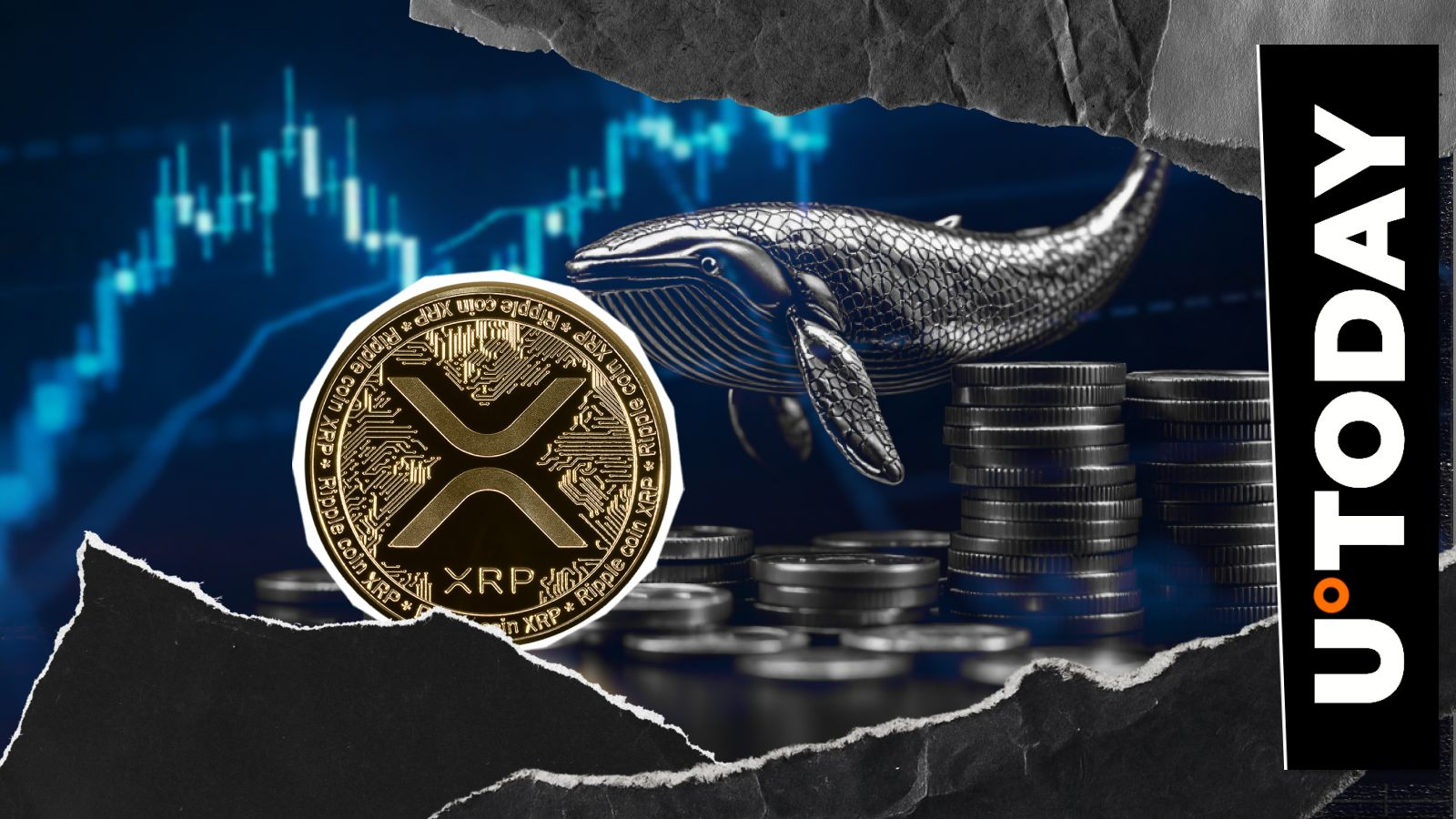 XRP Faces Brutal Whale Shake-Up: 40,000,000 Exit Millionaire Wallets - U.Today