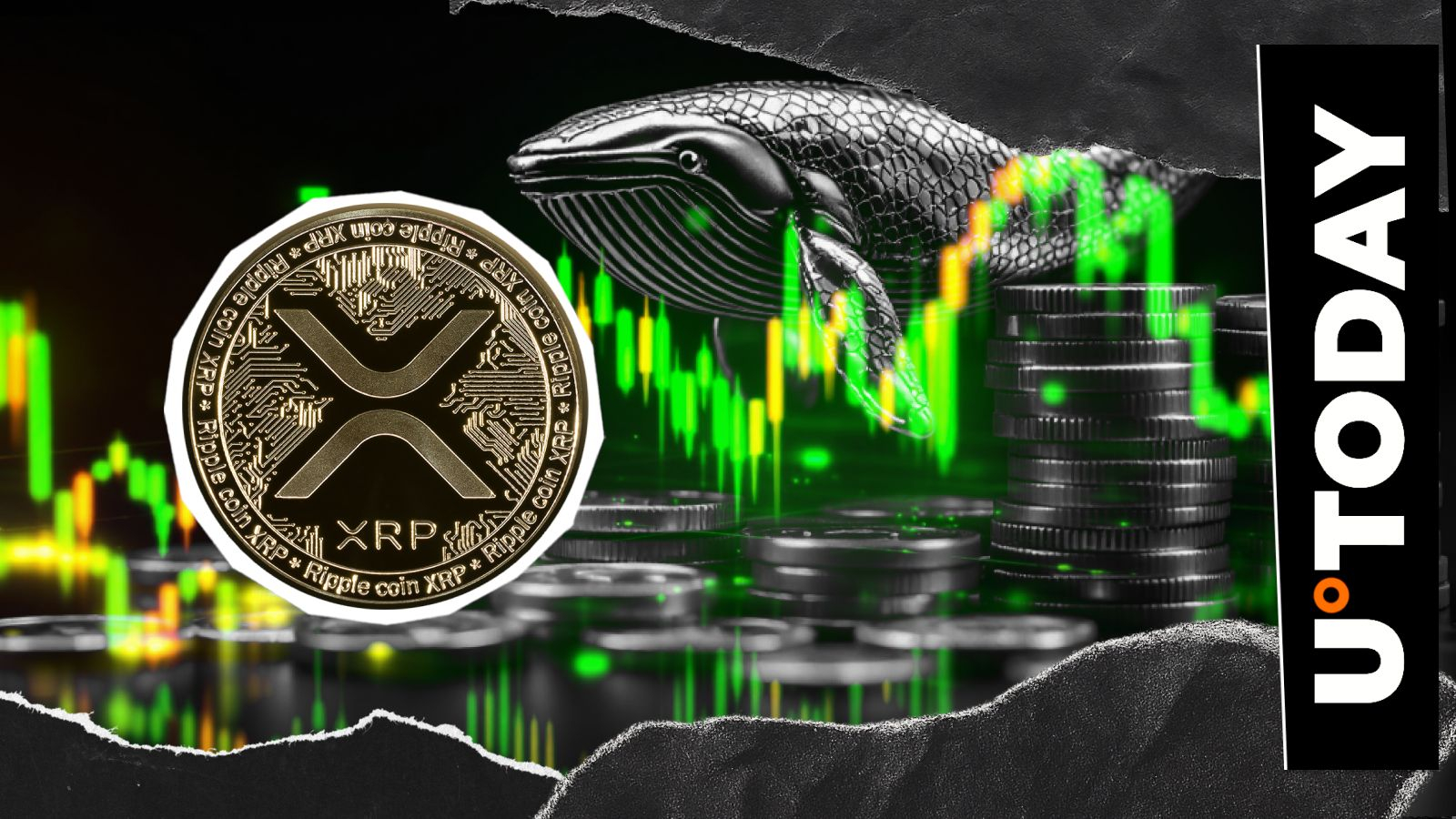 1,300,000,000 XRP in 8 Hours: Whales Going Crazy - U.Today